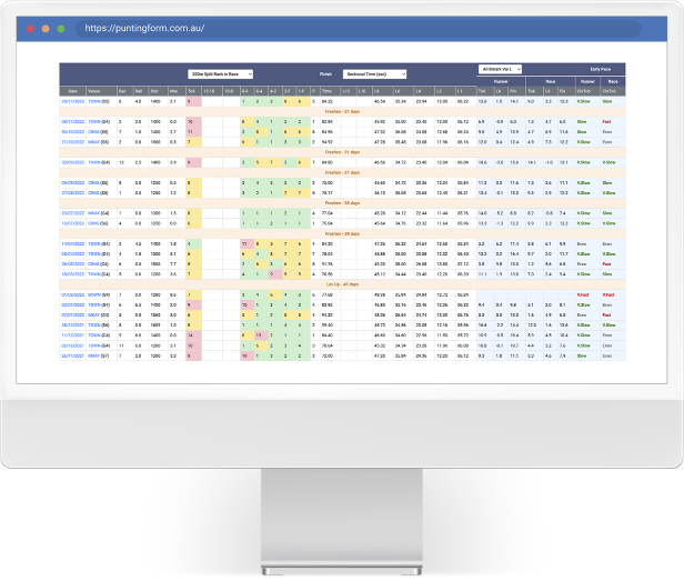 Punting Form - Professional